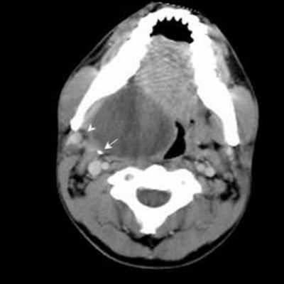 Internet Scientific Publications